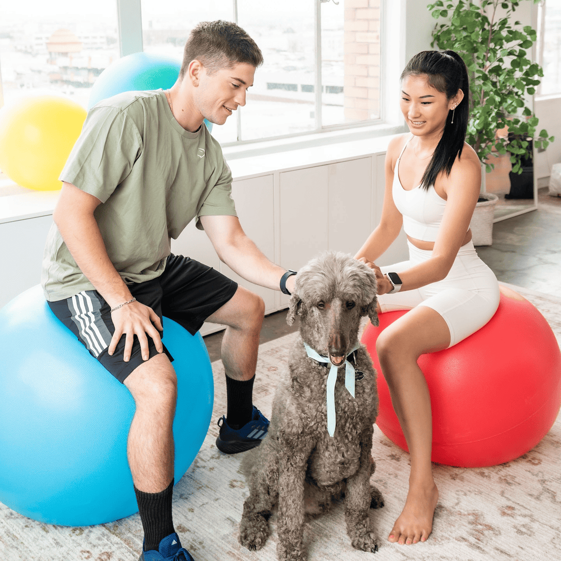 Active Sitting: Why Your Body Needs Movement at Work – Aeromats