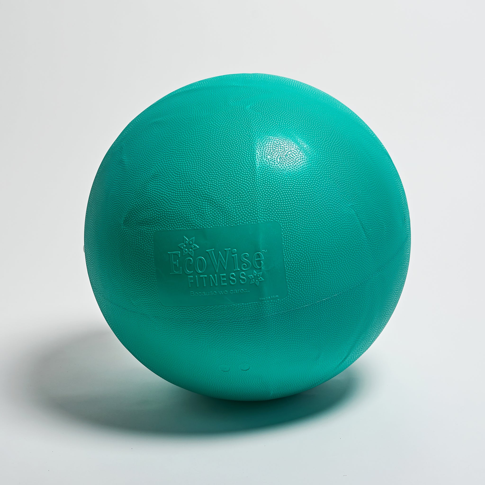 Premium Fitness Core Ball - Aeromat/EcoWise – Aeromats